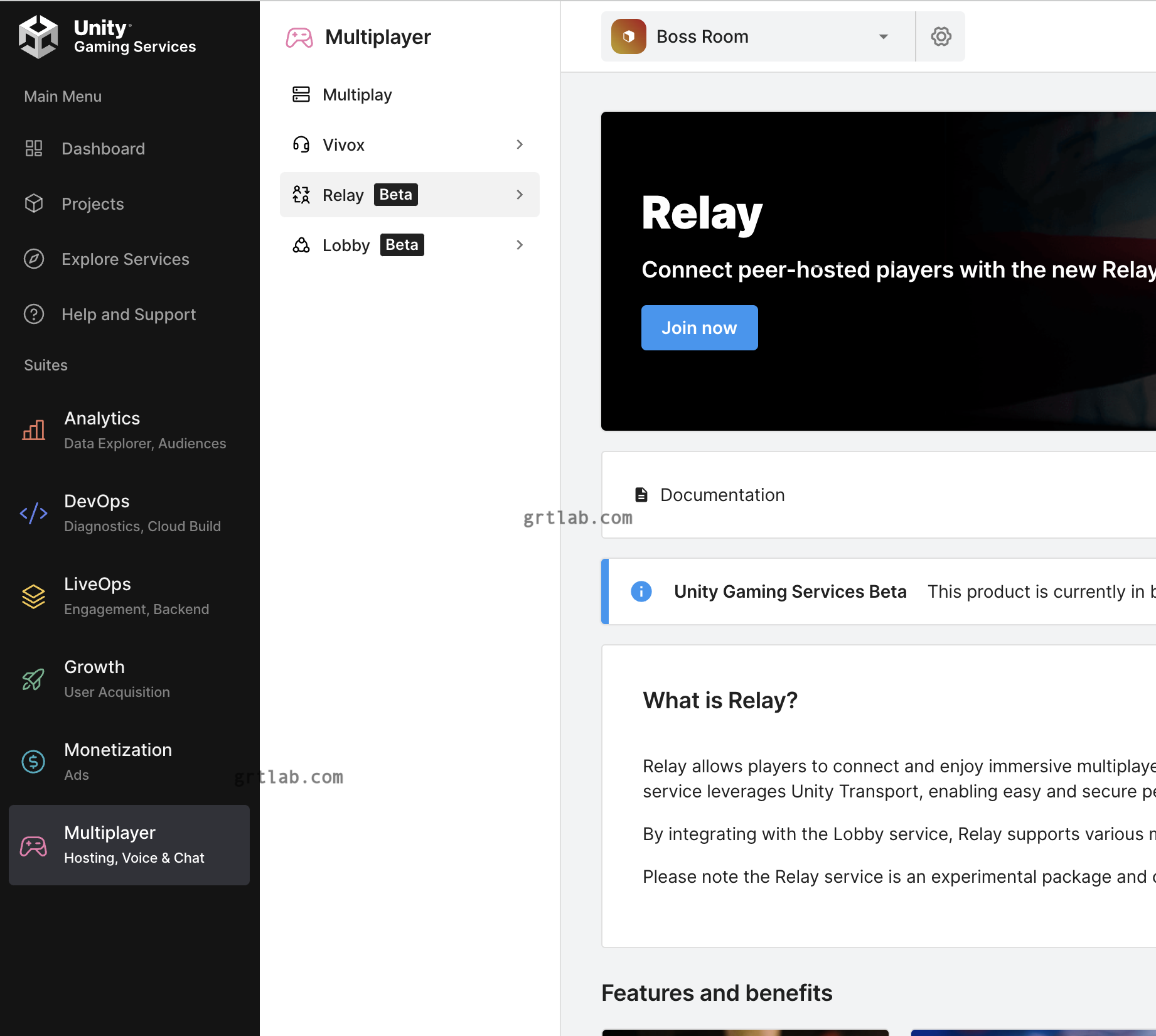 Unity : sample Boss Room x Photon realtime, Unity Relay を試してみる。 | GRTLAB.com